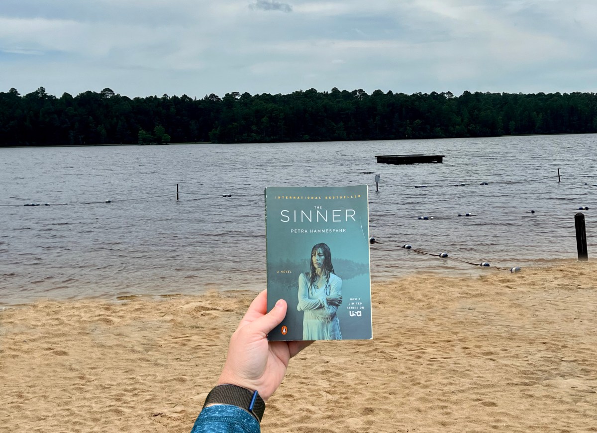 The Sinner – Books and Mischief